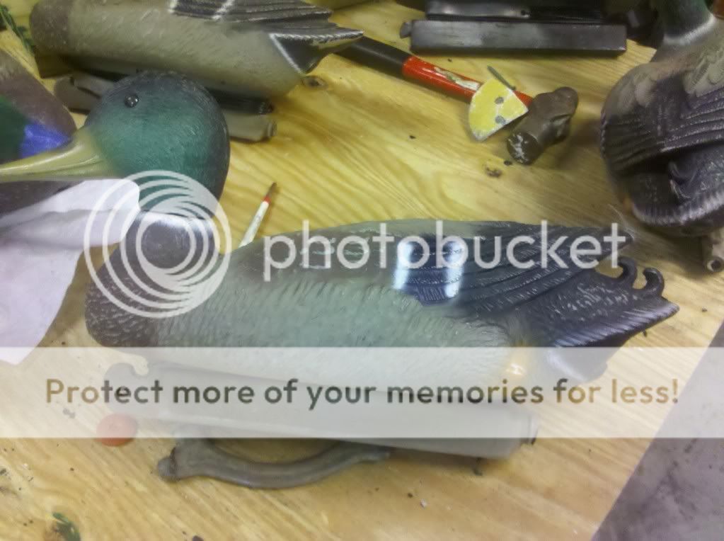 Flocking decoys | Duck Hunting Forum